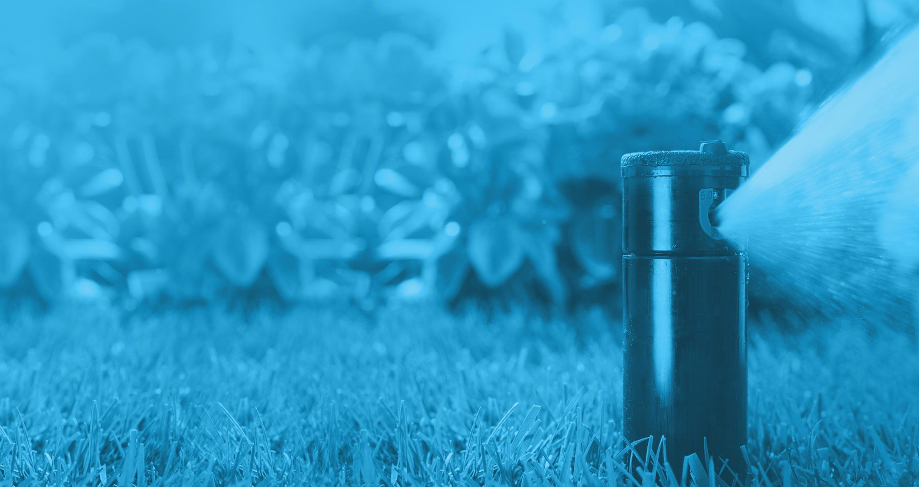 Ecosense Intelligent Irrigation